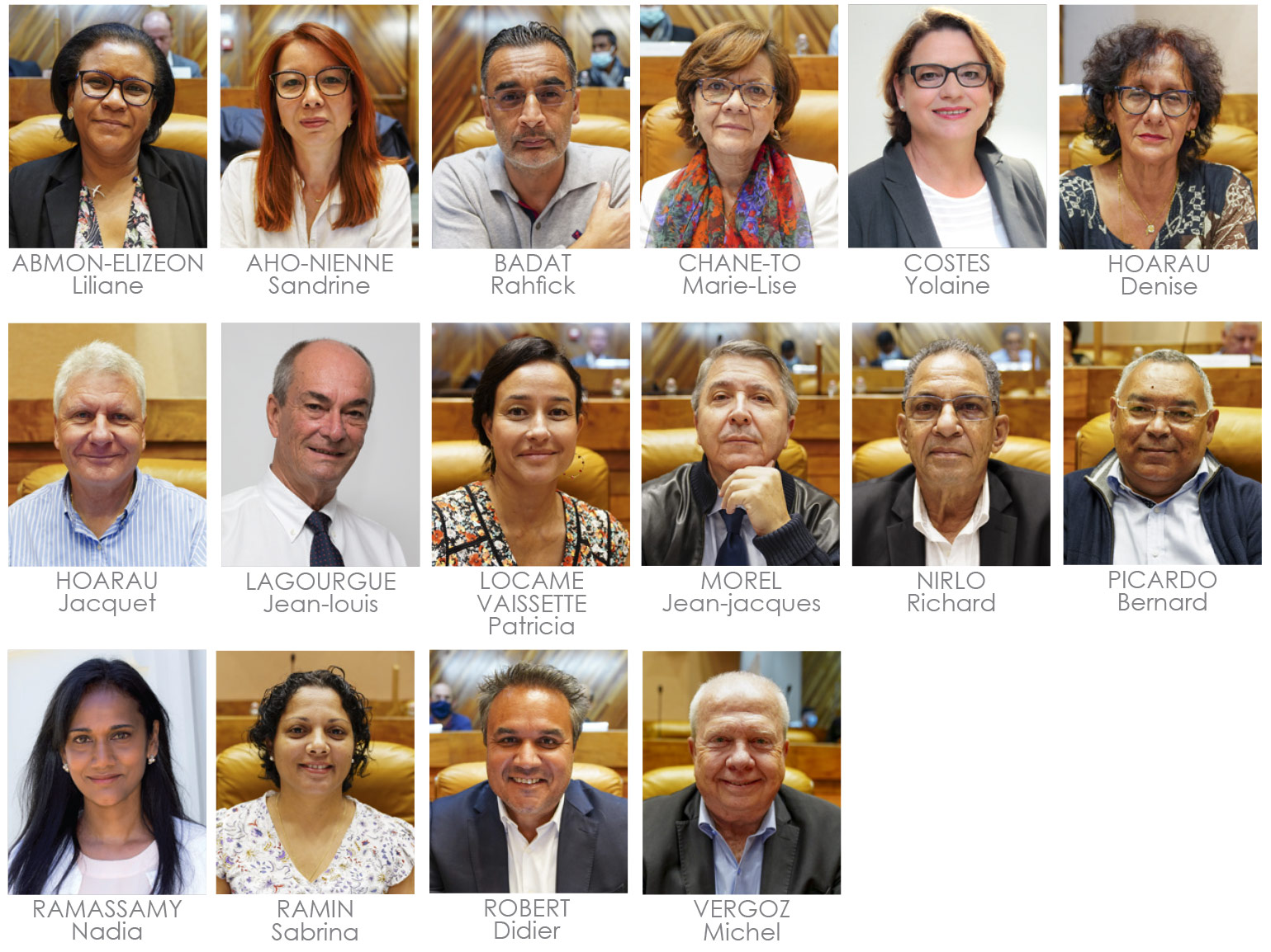 Les élus du Conseil Régional - Région Réunion